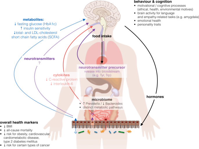 How does a vegan diet affect diabetes?
