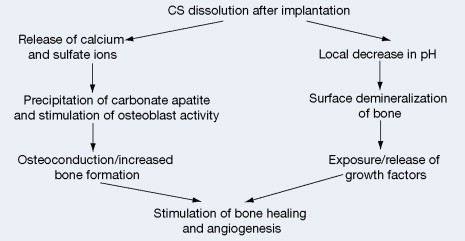 How does calcium sulfate affect the body?