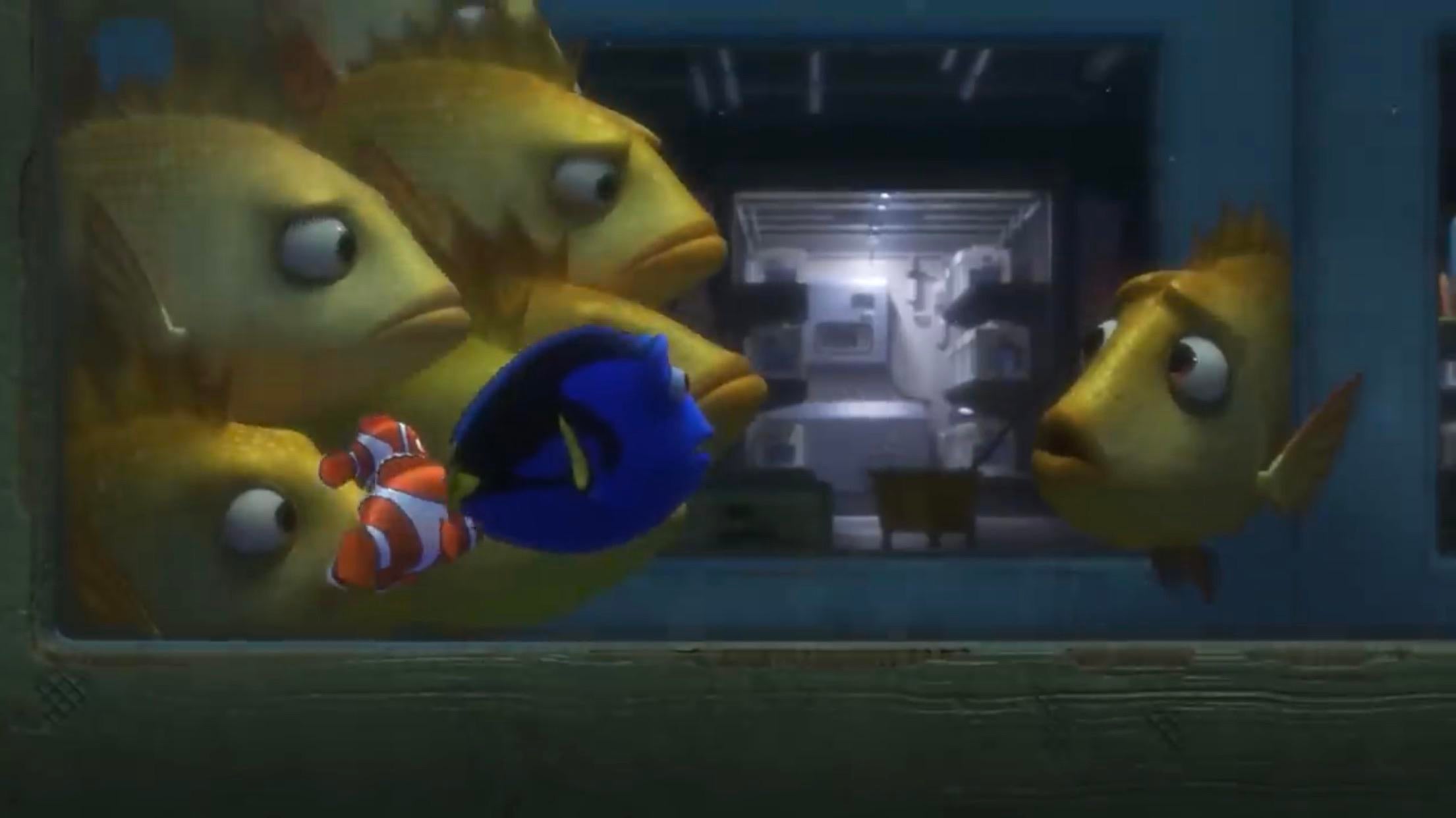 How does Dory get to quarantine?