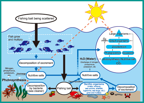 How does fishing affect the natural environment?