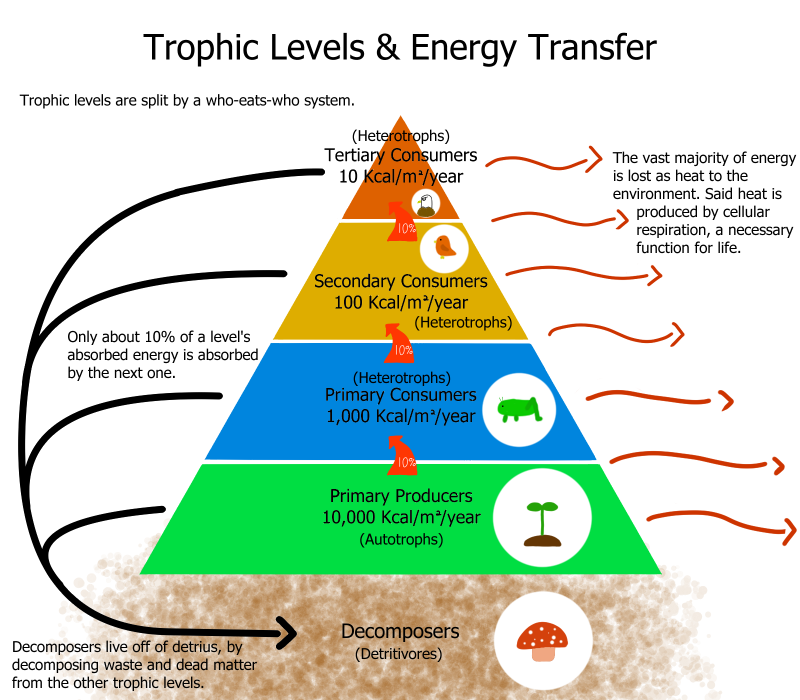 How does food affect energy level?