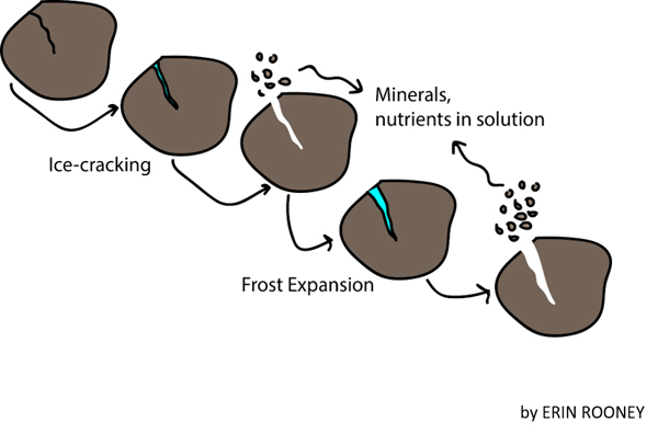 How does freezing and thawing form soil?