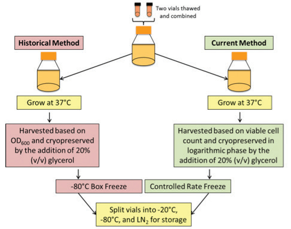 How does freezing prevent microbial growth?
