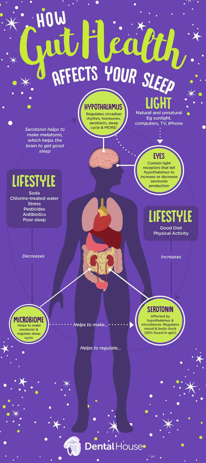 How does gut health affect the rest of the body?