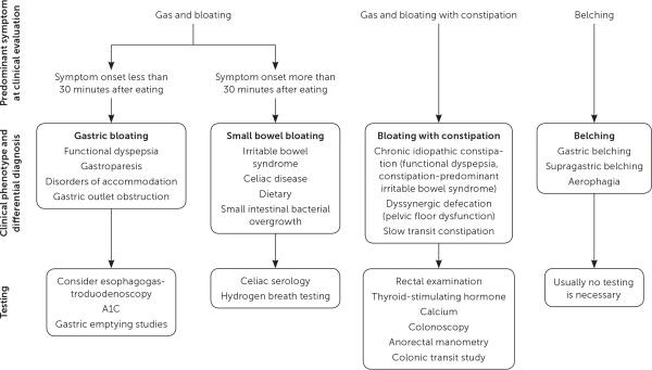 How is excessive gas diagnosed?