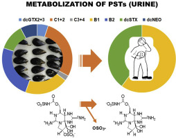How is paralytic shellfish poisoning treated?