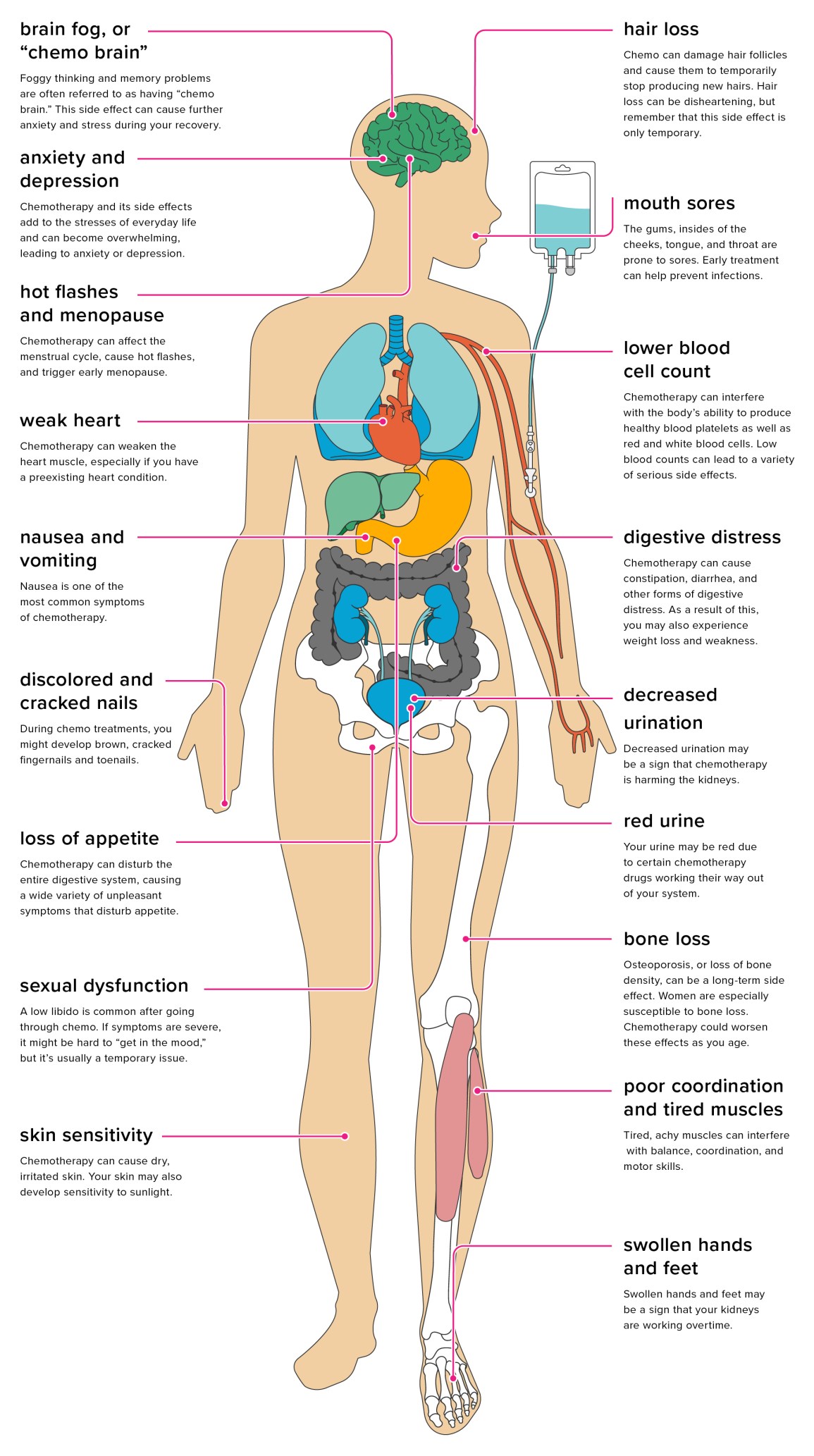 How long after chemo does your body get back to normal?