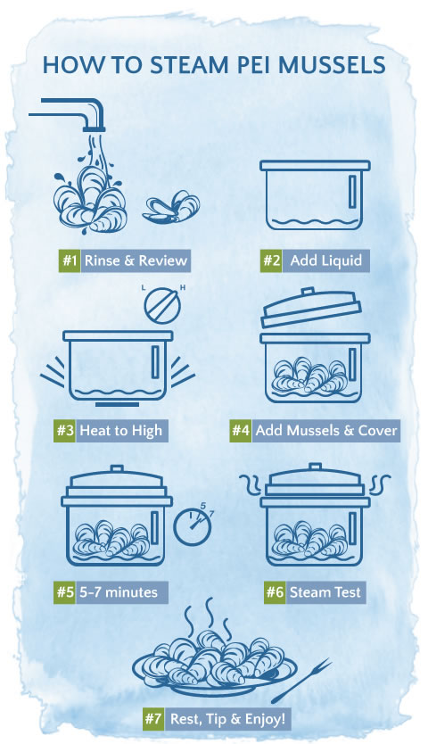 How long boil open mussels?