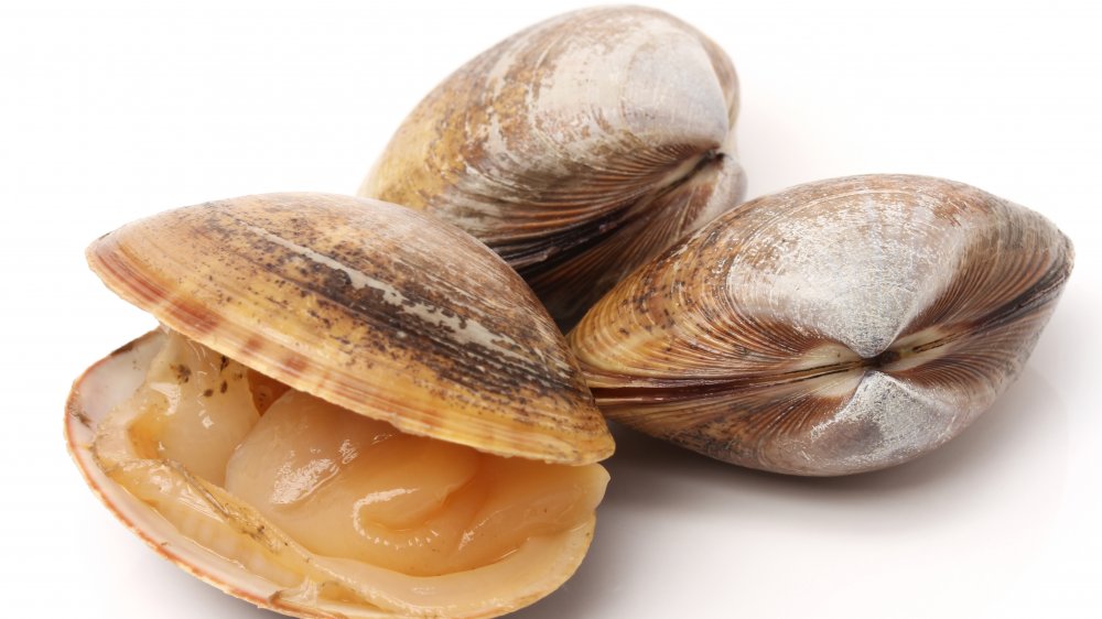 How long can clams be dead before cooking?