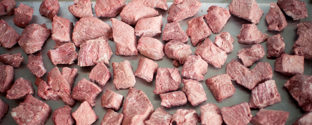 How long can freeze dried meat last?