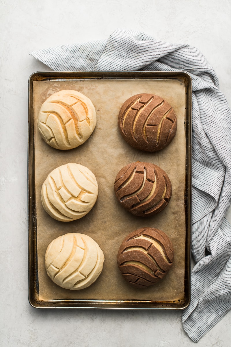 How long do conchas last?