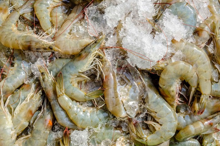 How long do cooked frozen prawns keep once defrosted?