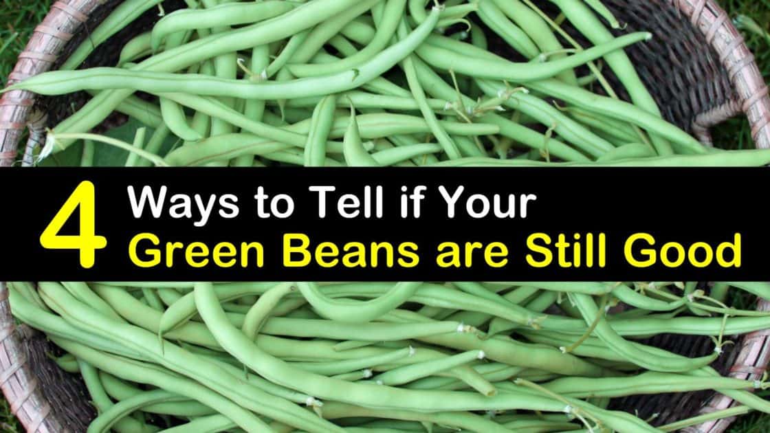 How long do leftover green beans last in the fridge?