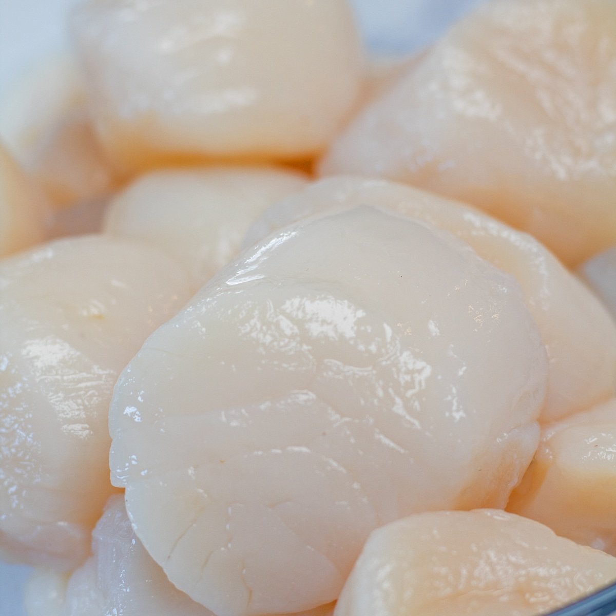 How long do scallops last in a bag?