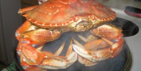 How long do you steam frozen Dungeness crab?