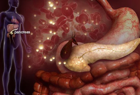 How long does it take for the pancreas to heal itself?