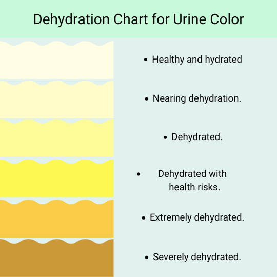 How long does it take to rehydration?