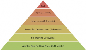 How long is base phase?