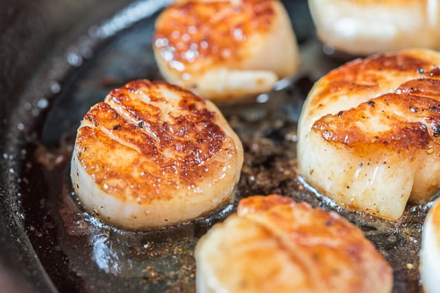 How long should scallops be seared for?