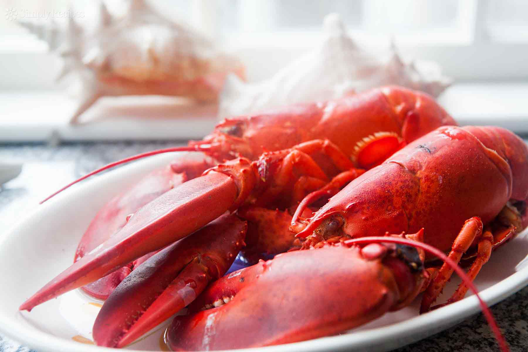 How long should you boil a whole lobster?