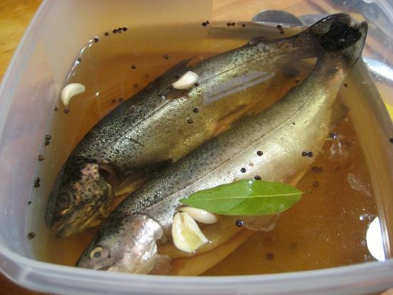 How long should you brine fish?