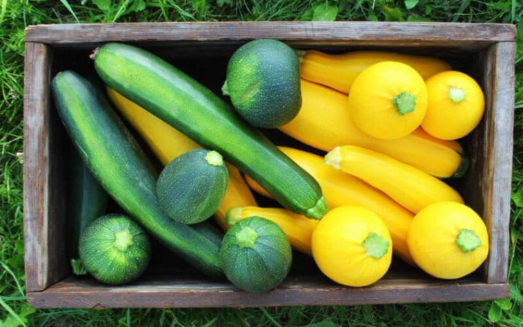 How long will a zucchini last on the counter?