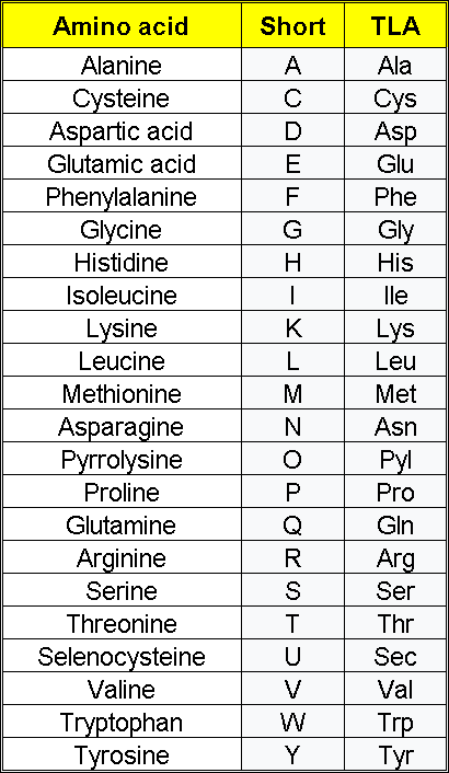 How many amino acids are there 22?