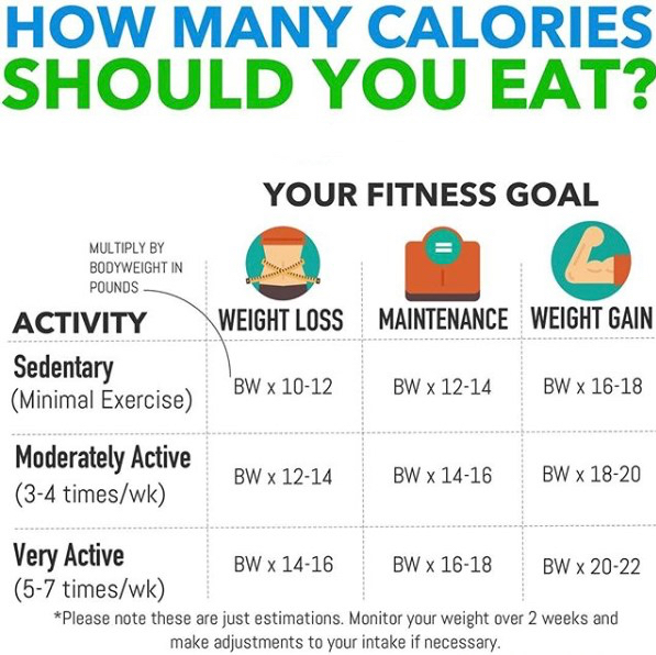 How many calories should you eat if you workout everyday?
