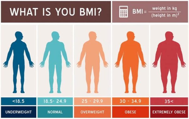 How many calories should you naturally burn in a day?