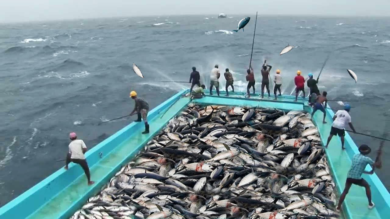 How many fish can one person catch in a day? [2022] | QAQooking.wiki