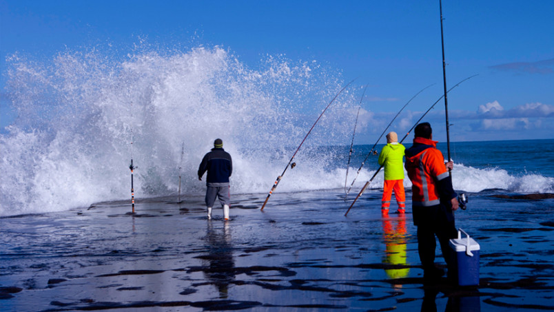 How many fish can you catch in NZ?