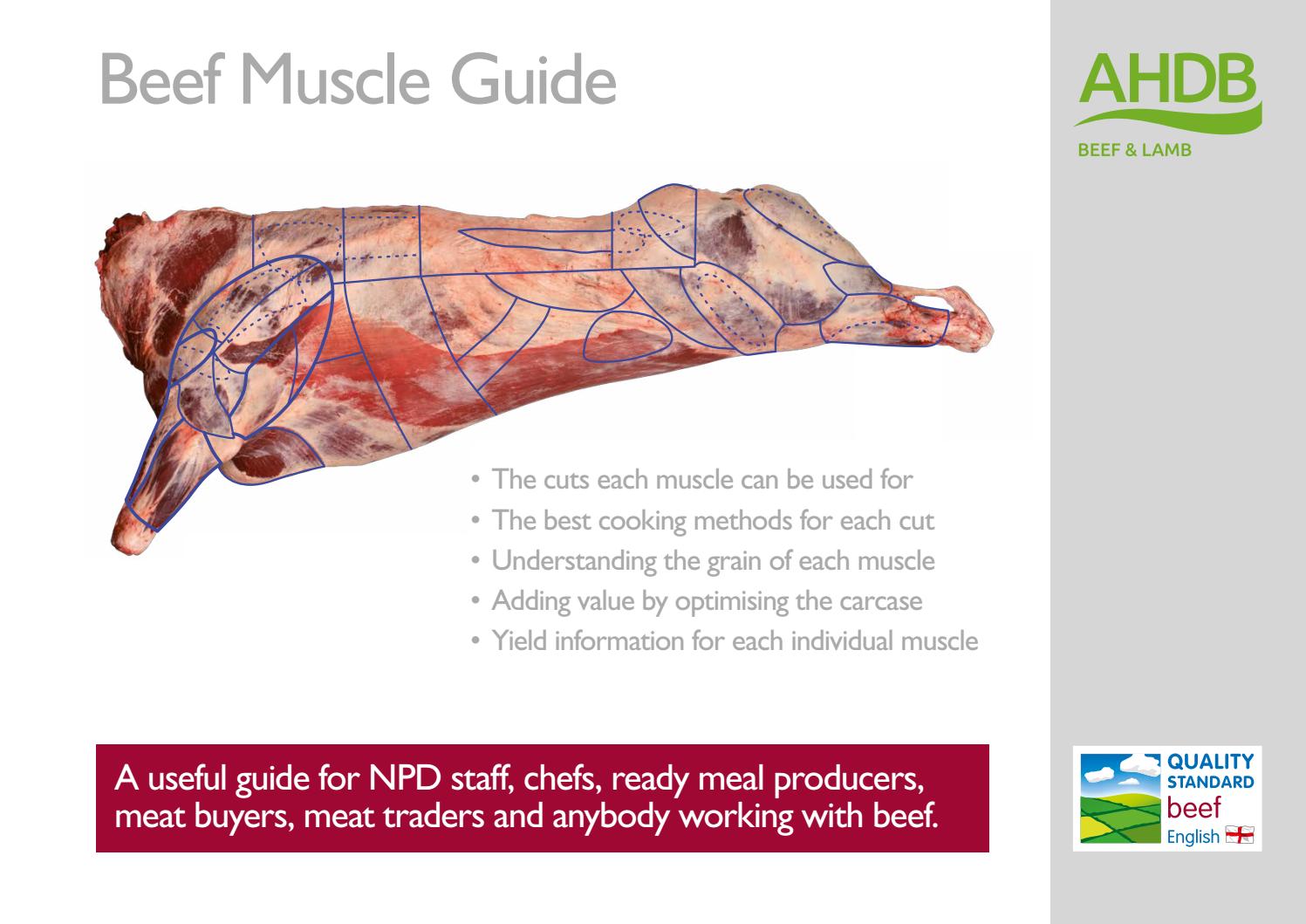 How many of the 22 most tender beef muscles are intermediate?