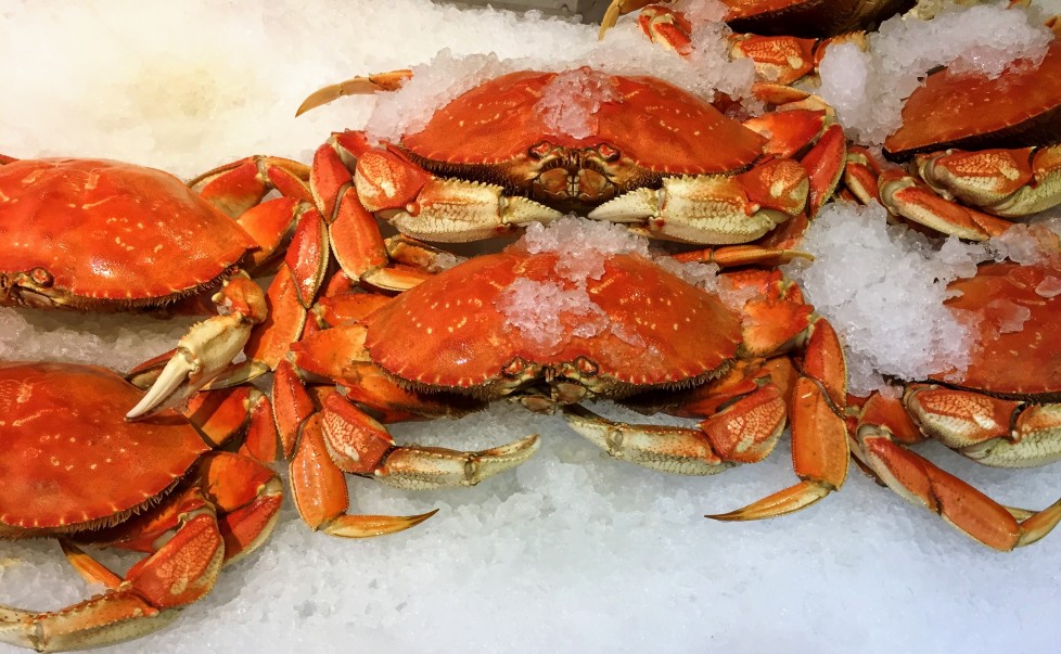 How many pounds Dungeness crab per person?