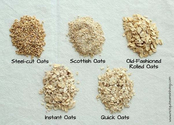 How many times a day can you eat instant oatmeal?