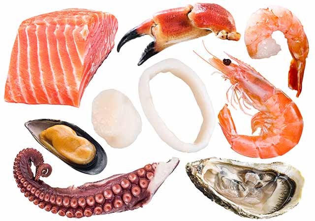 How many type of seafood do we have?