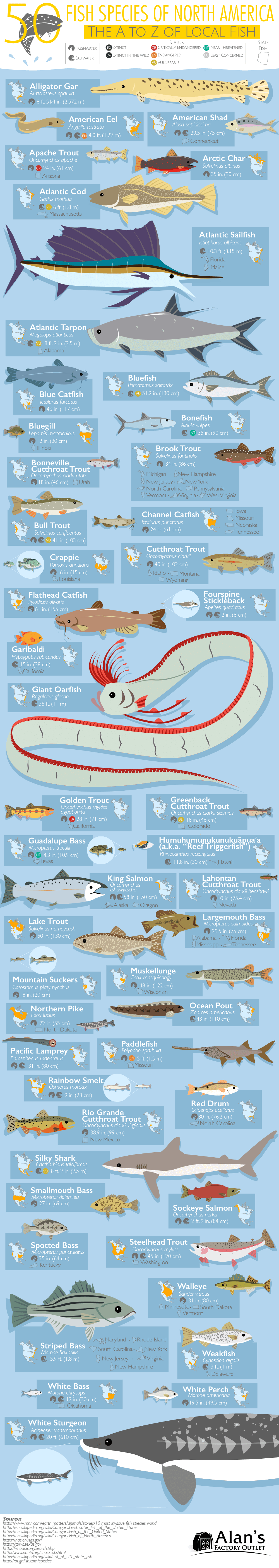 How many types of fish are there in the US?