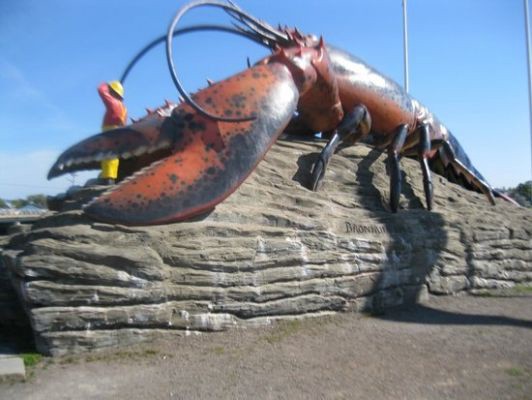 How much does a 100 year old lobster weigh?