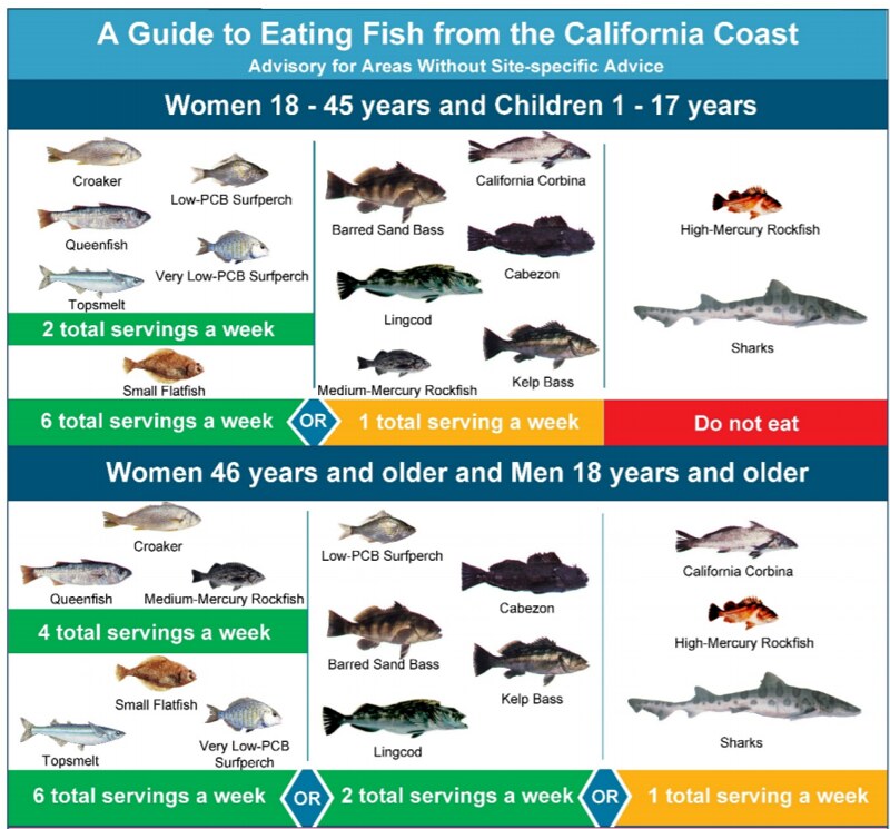 How much fish should you really be eating?