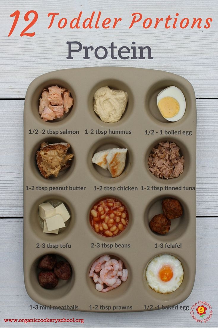 How much food should a 2 year old eat?