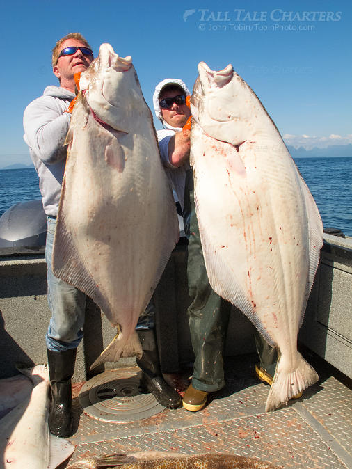 How much is a halibut charter in Homer Alaska?