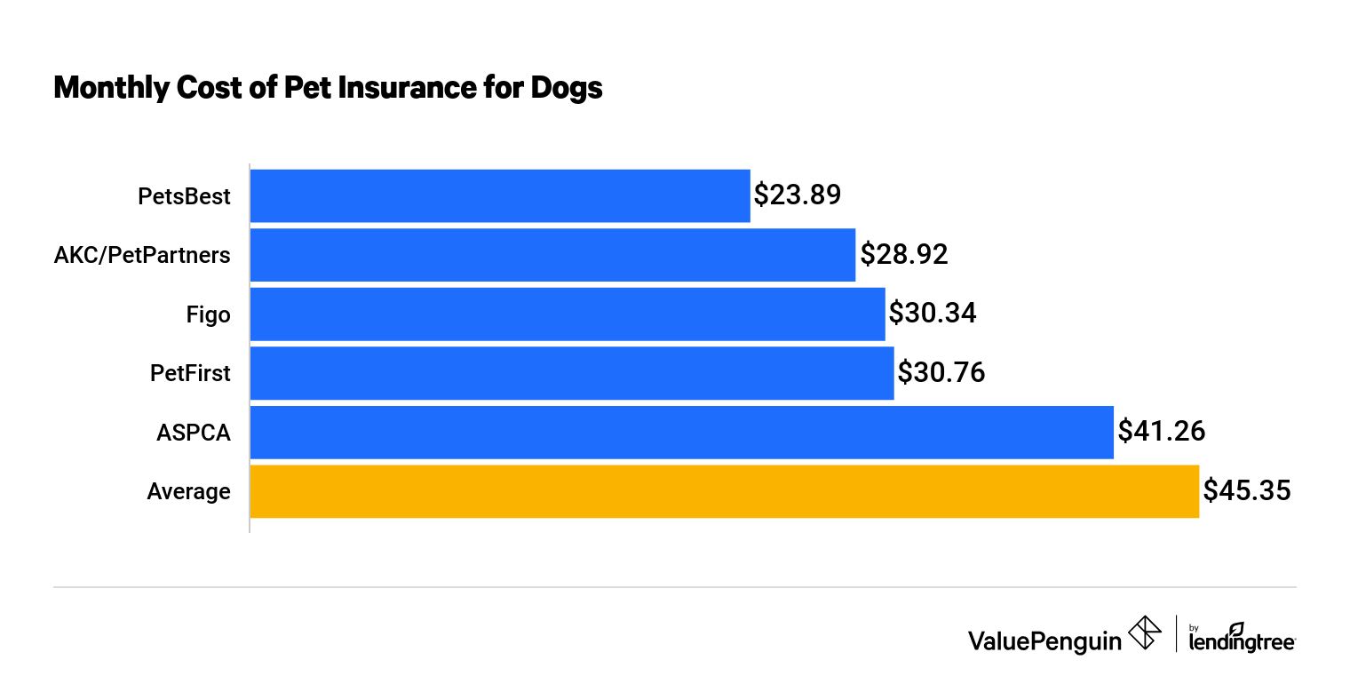 How much is dog insurance on average?