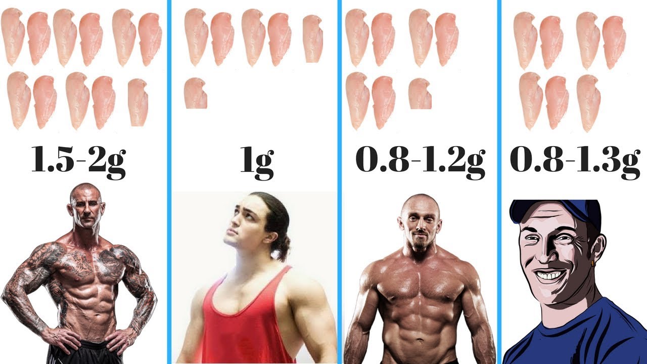 How much protein do I need to build muscle?