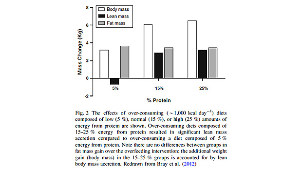 How much protein until it turns to fat?
