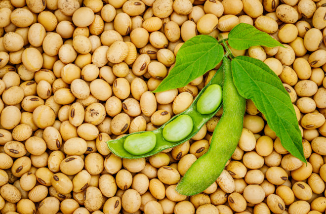 How much tofu can you get per acre of soybeans?