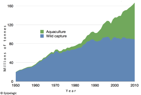How much UK fish is farmed?