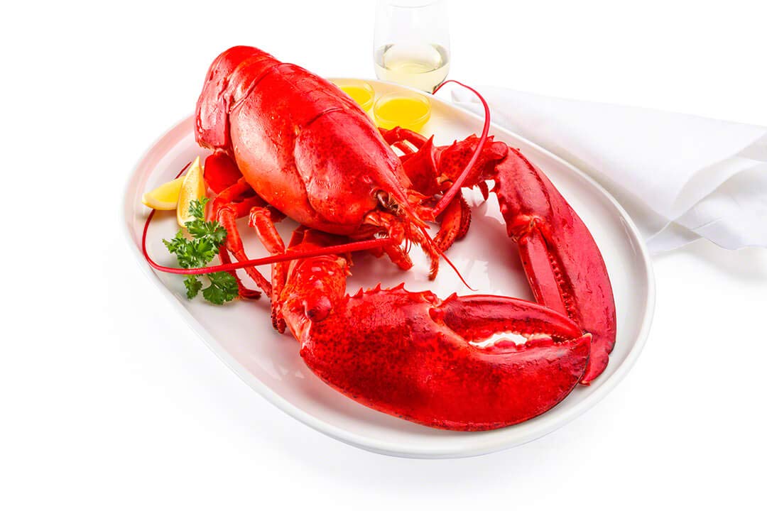 How much would a 10 lb lobster cost?