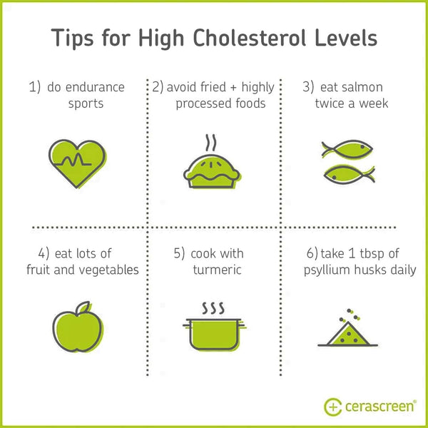 How quickly can I reduce my cholesterol levels?