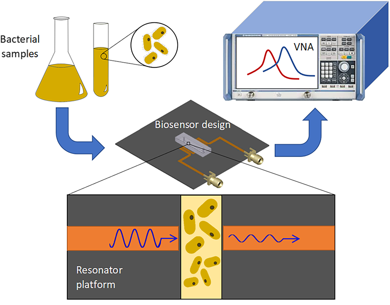 How will you detect bacterial growth?