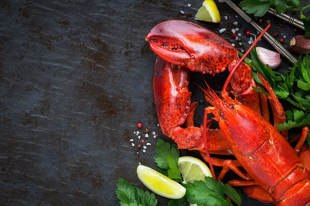 How would you describe the taste of lobster?