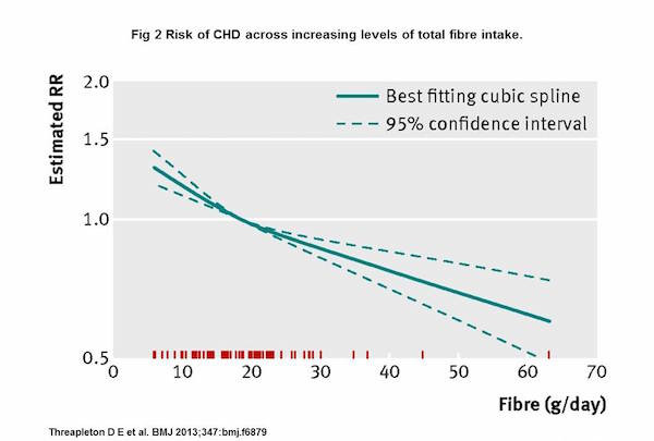 Is 60 grams of fiber too much?